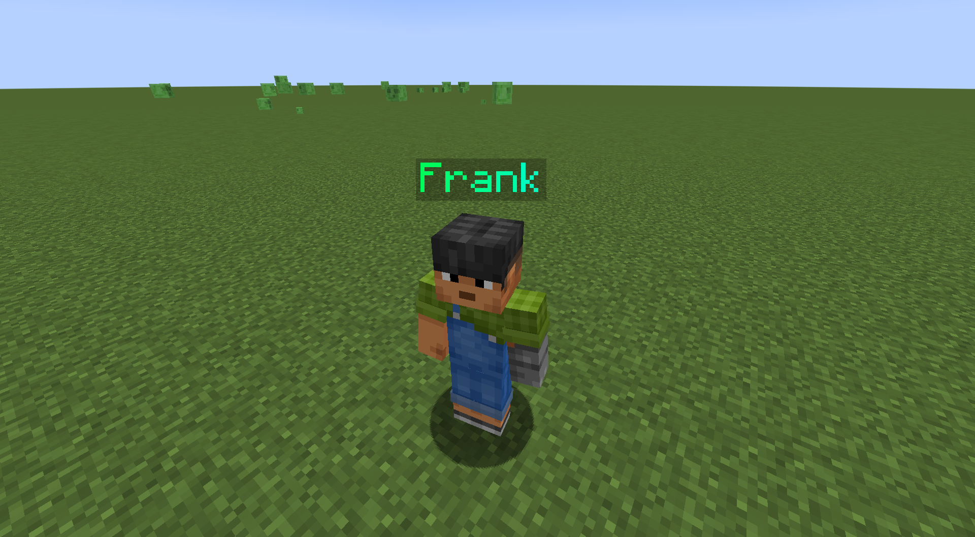 Hidden Names - Gallery - Minecraft Mods - CurseForge