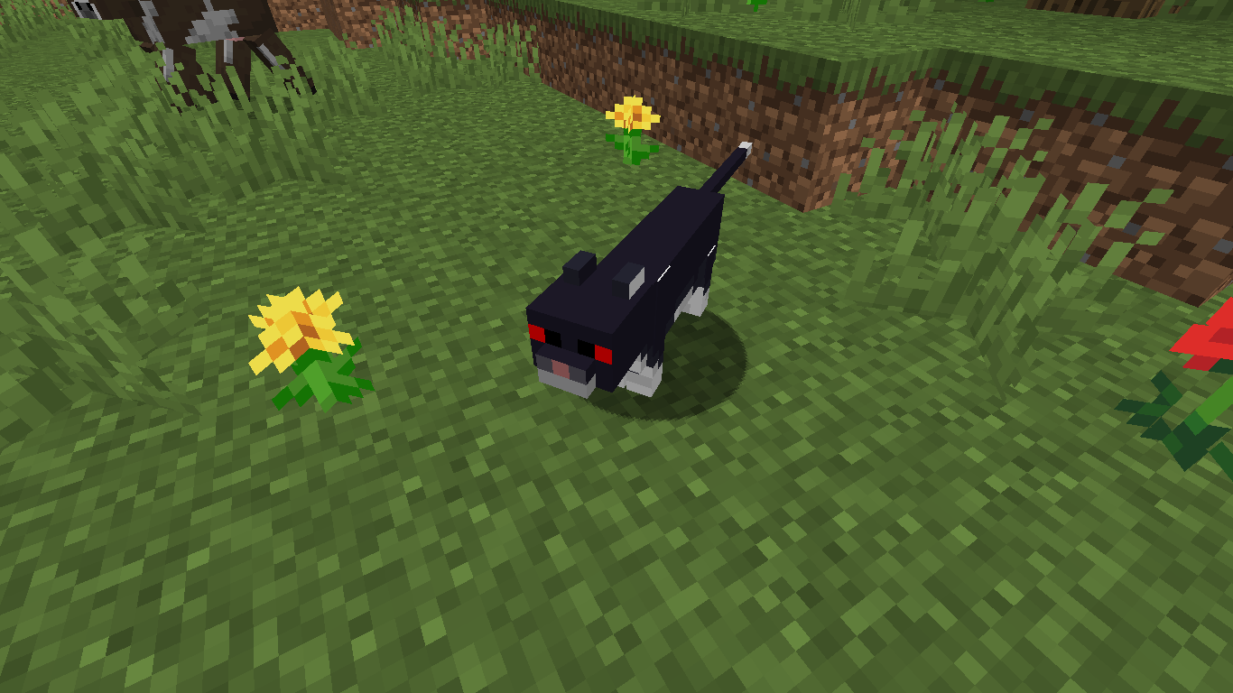 Exploding Cats! - Gallery - Minecraft Mods - CurseForge