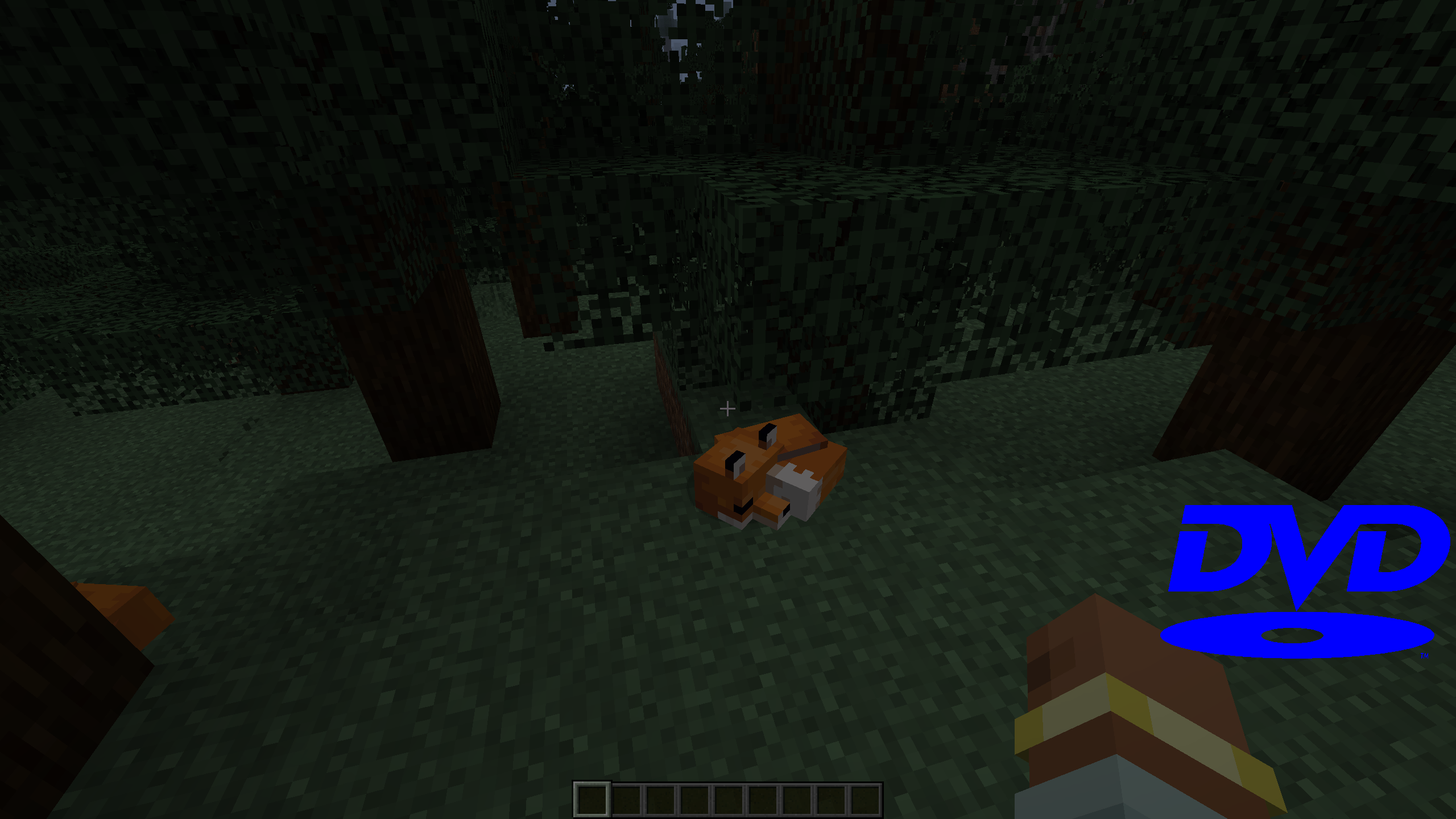 Nostalgia DVD Screenshots - Mods - Minecraft