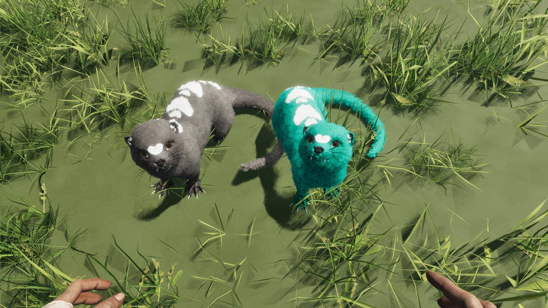 Z-Variants Otter Additions (Crossplay) - Ark Survival Ascended Mods ...