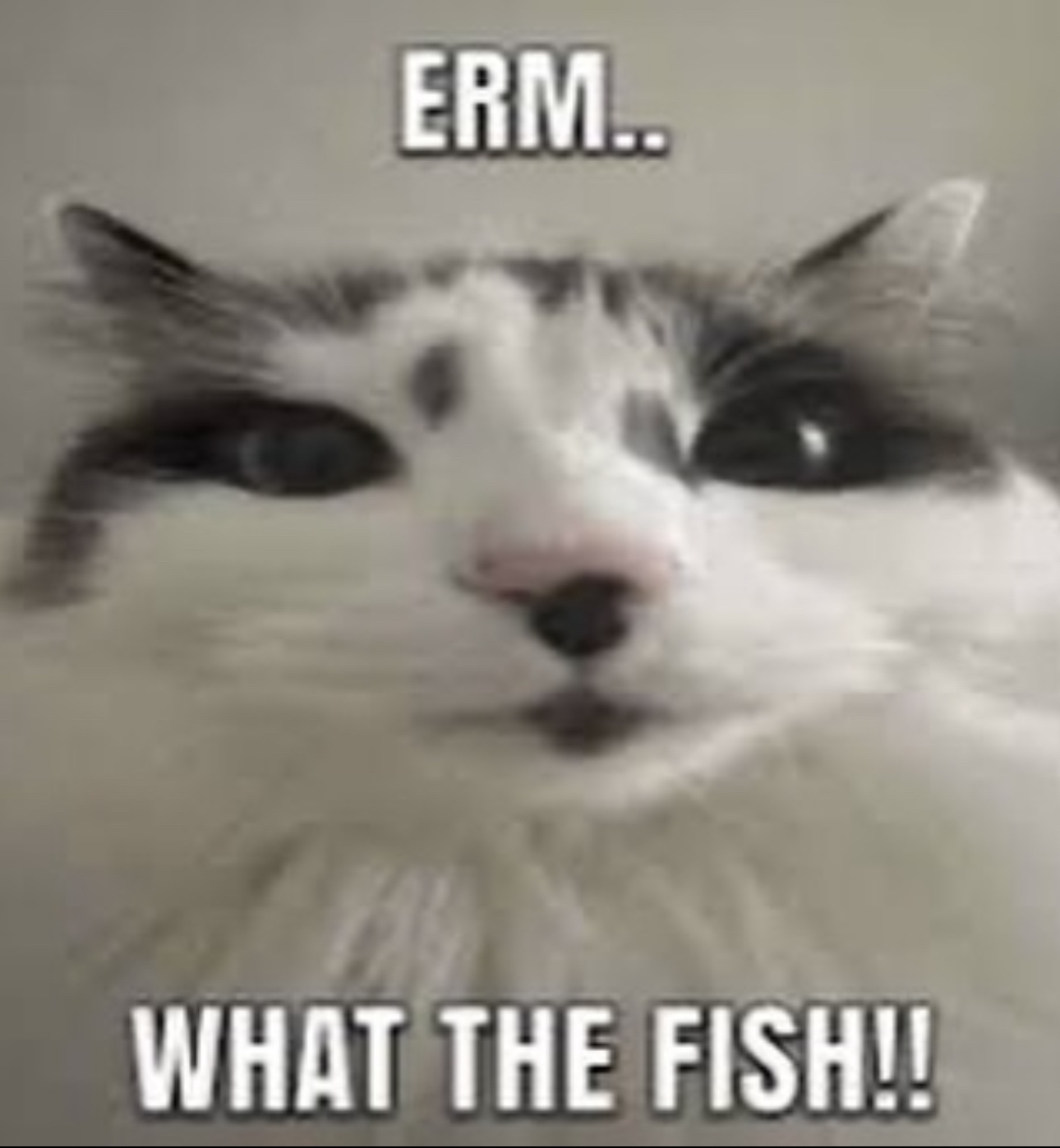 The GGG Pack - Minecraft Modpacks - CurseForge