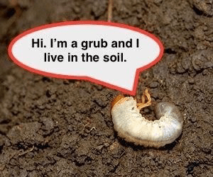 The GGG Pack - Minecraft Modpacks - CurseForge