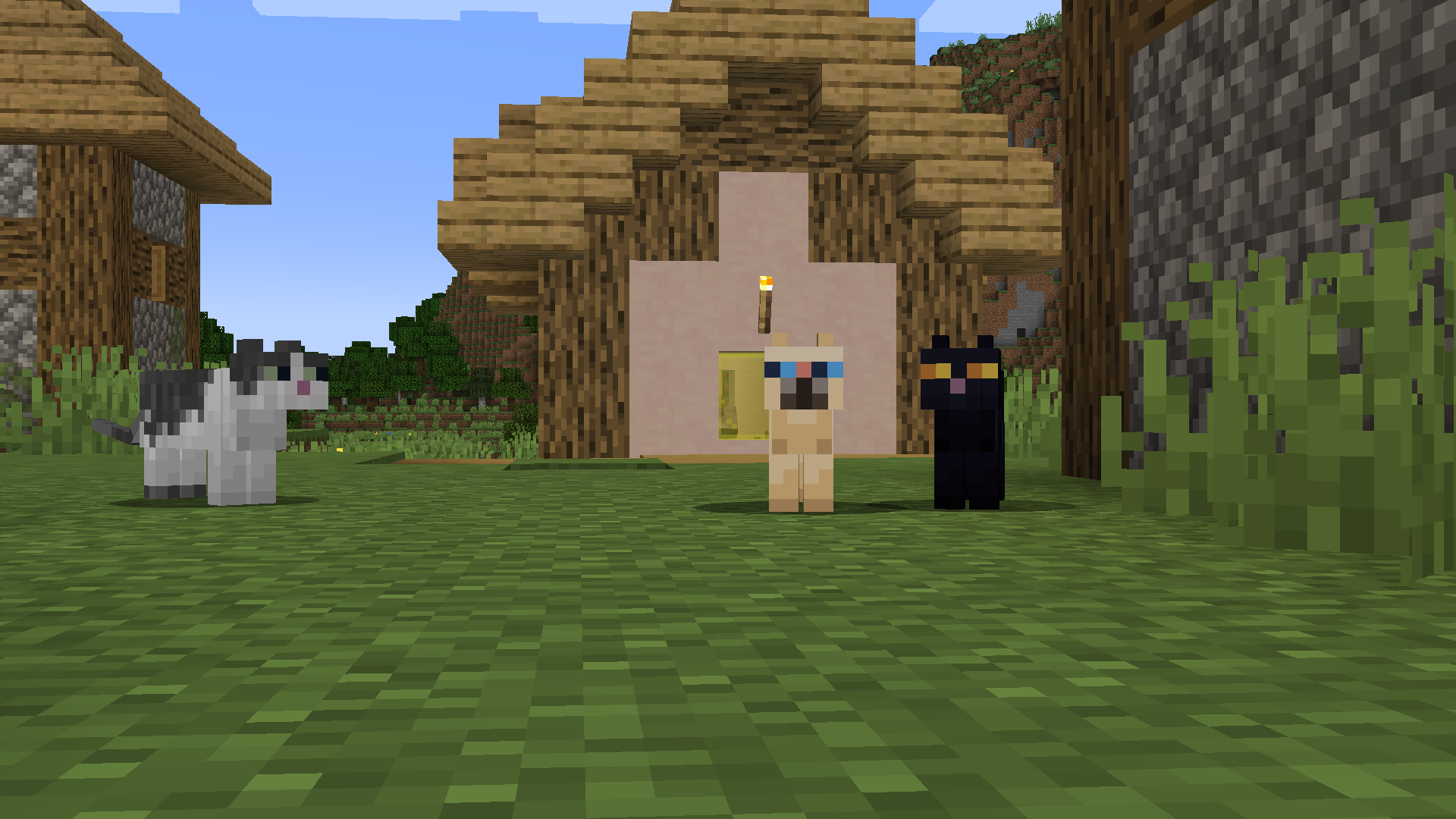 cats that judge you / gatos que te juzgan - Gallery - Minecraft ...