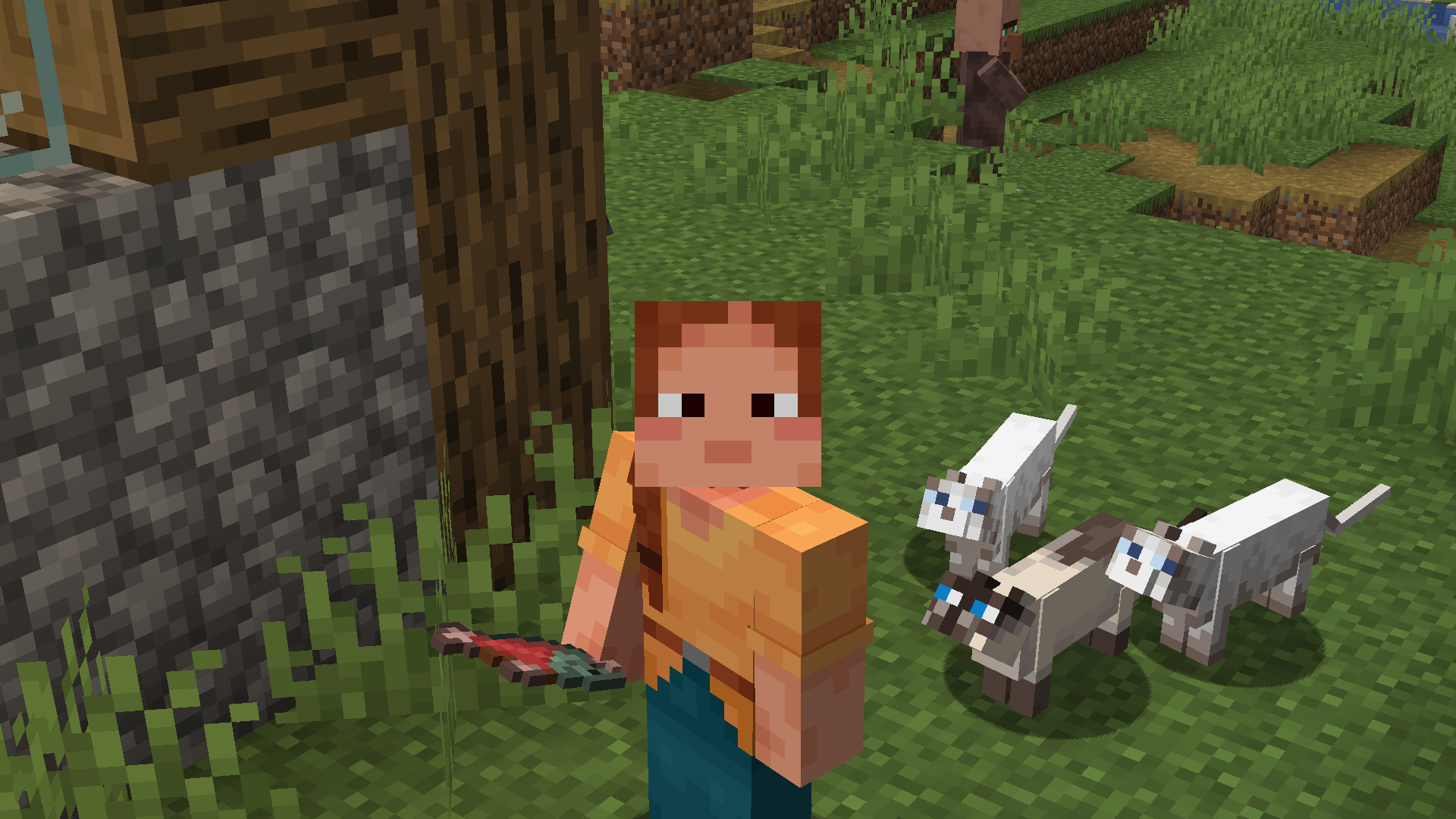 cats that judge you / gatos que te juzgan - Gallery - Minecraft ...