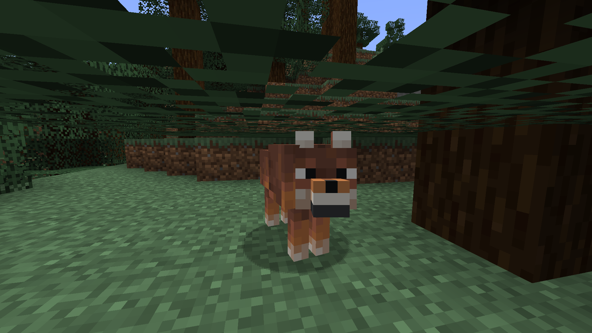 Wolf Port - Gallery - Minecraft Mods - CurseForge