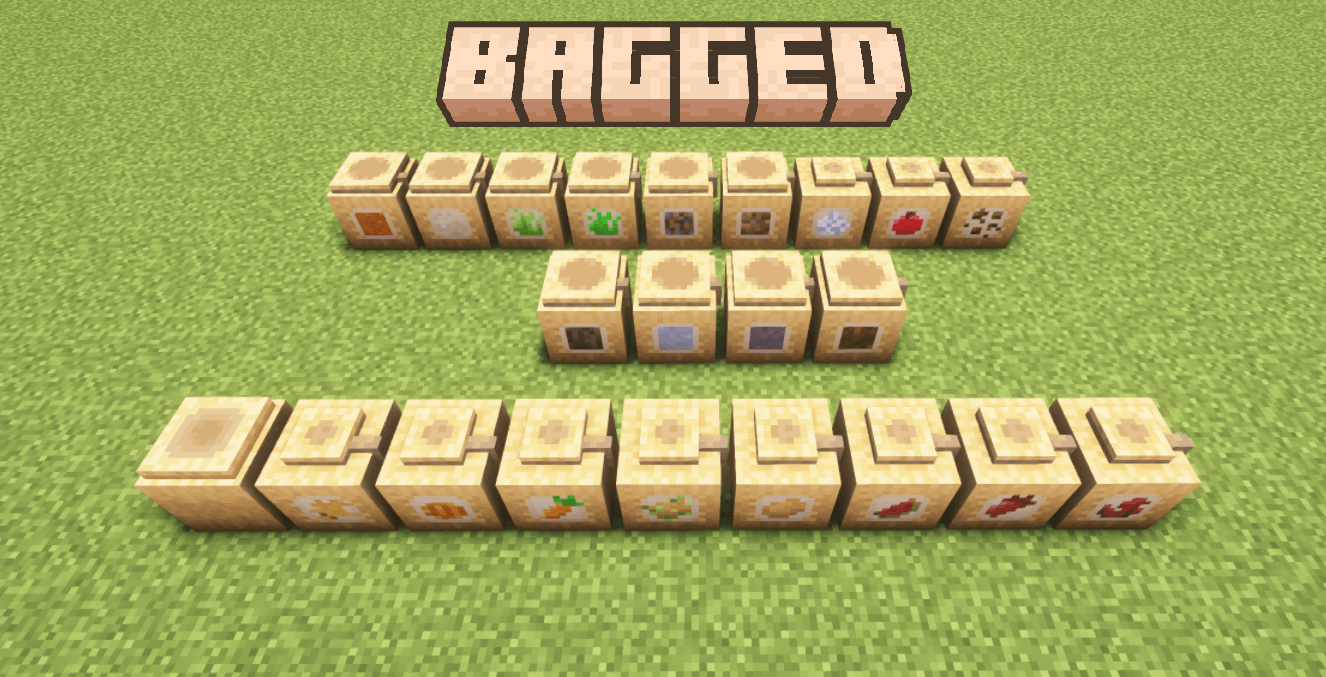 Bagged [Deprecated] - Minecraft Mods - CurseForge