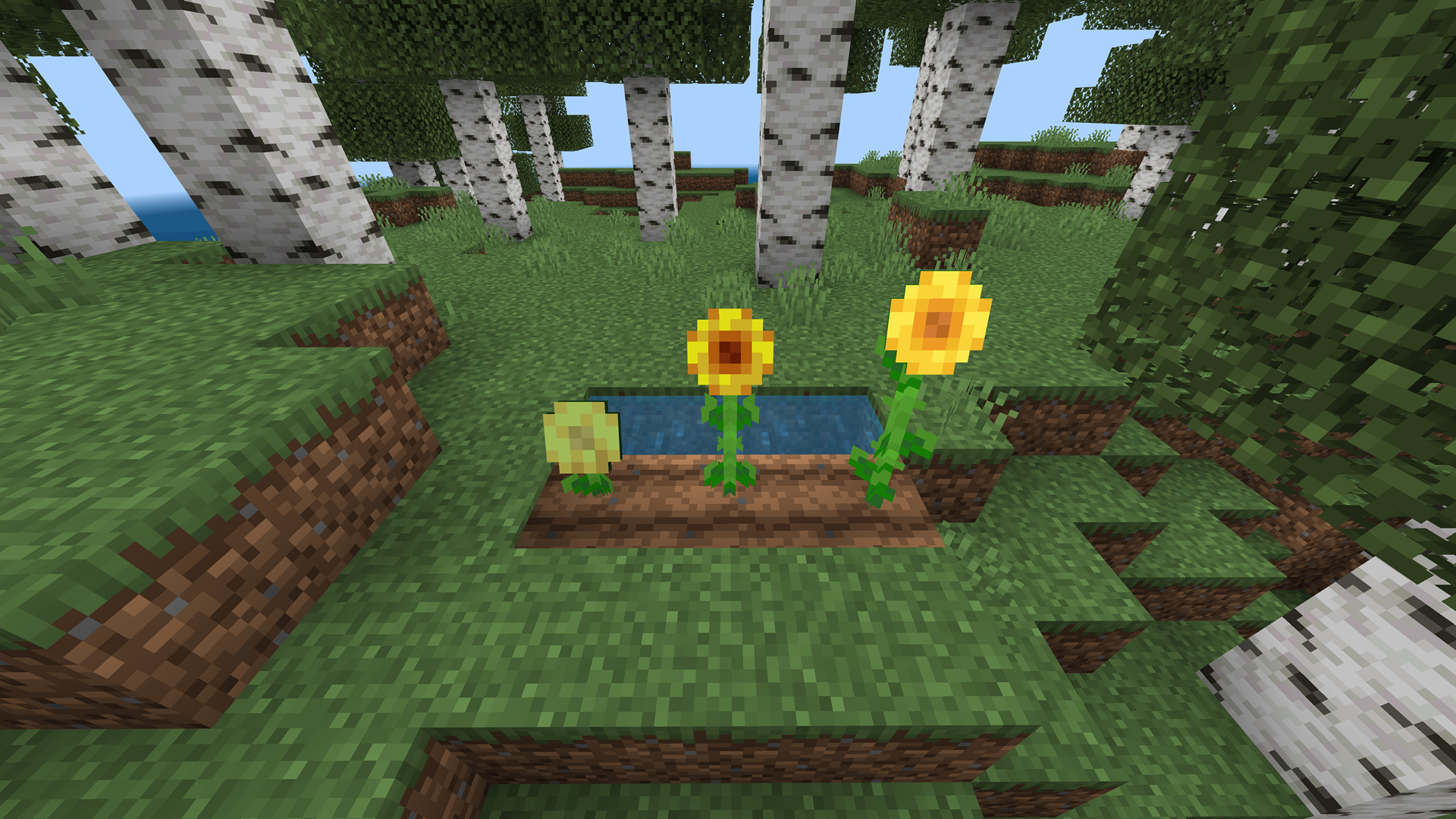 Random Additions v2.2.2 - Gallery - Minecraft Bedrock Addons - CurseForge