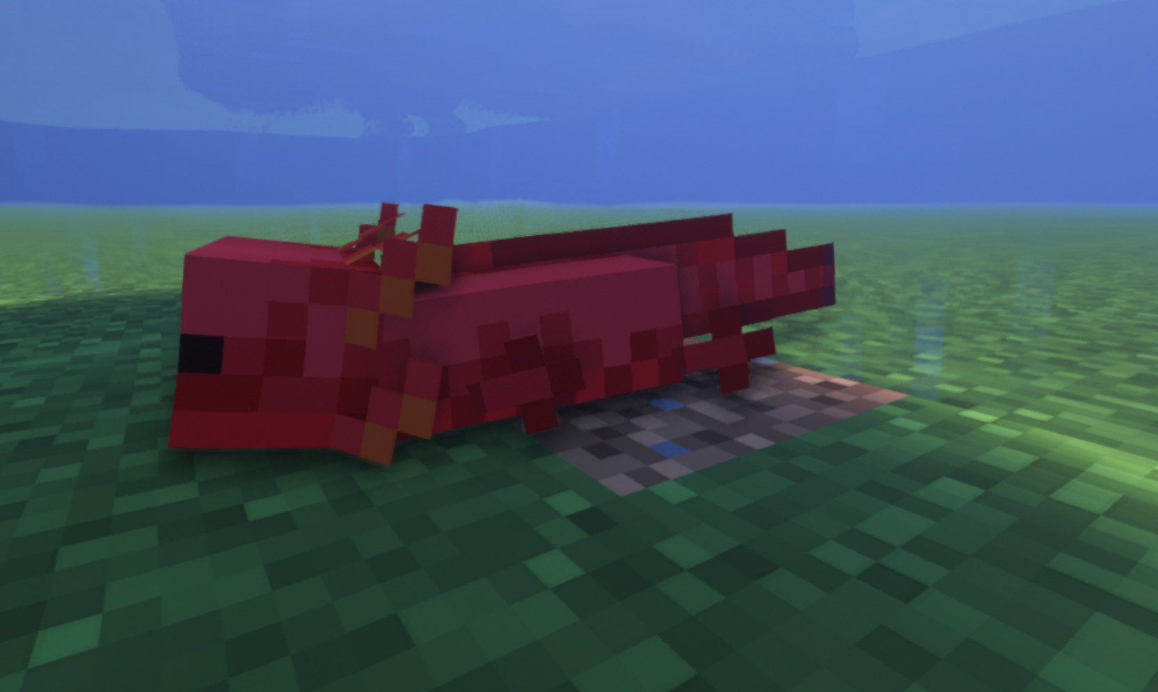Red Axolotl - Gallery - Minecraft Resource Packs - CurseForge