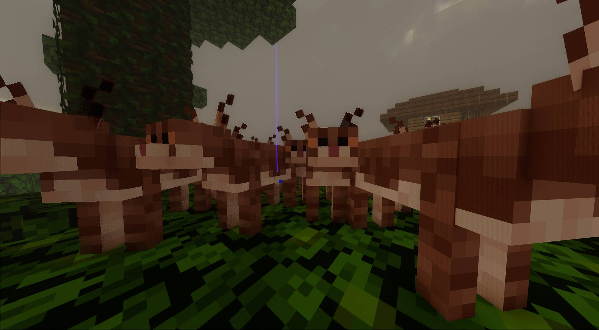 Bingus - Minecraft Mods - CurseForge