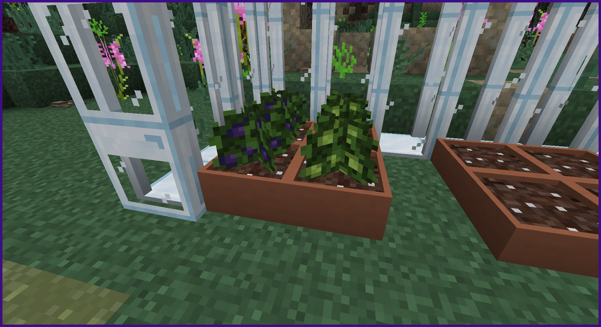 Vinery TFC - Screenshots - Minecraft Mods - CurseForge