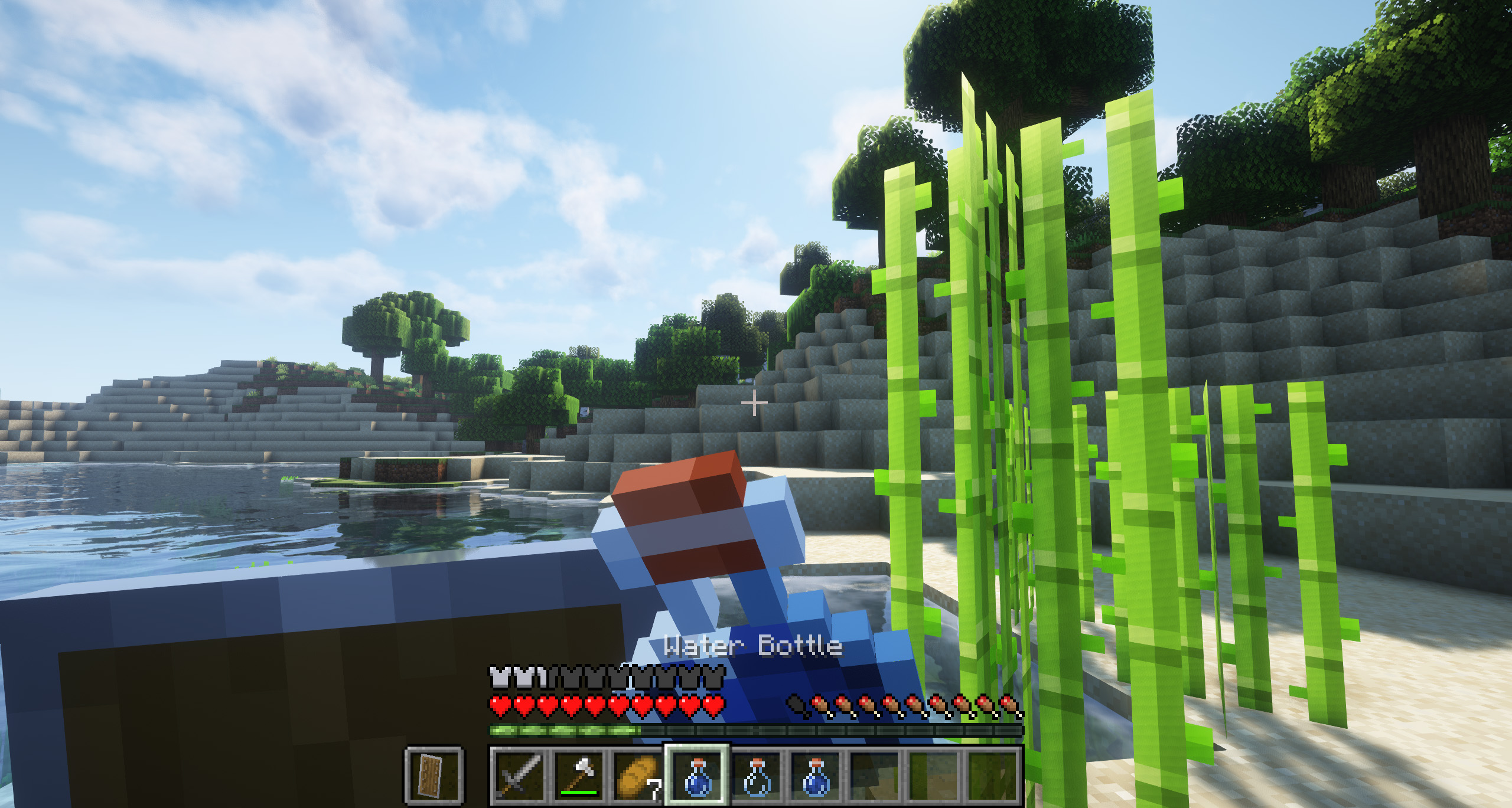 Healthy Water - Minecraft Mods - CurseForge