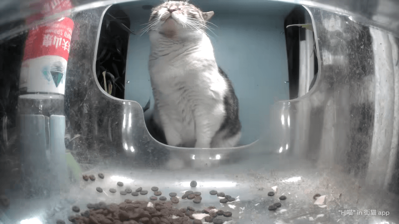 Dread Deadline - Gallery - Minecraft Modpacks - CurseForge