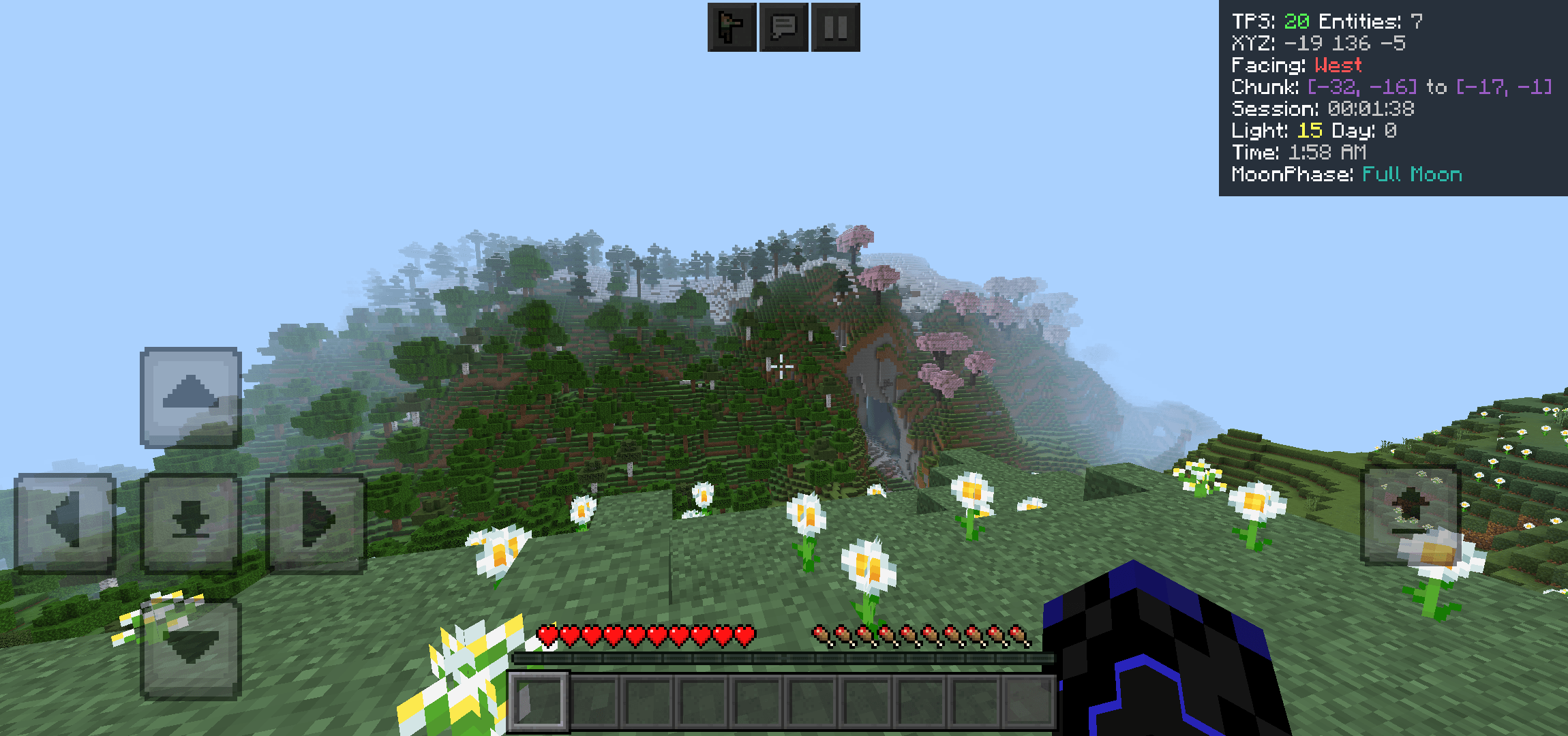 Info Display - Gallery - Minecraft Bedrock Scripts - CurseForge