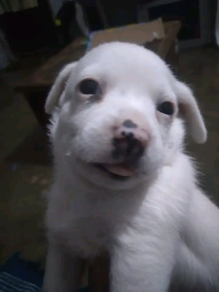 Blocklings world - Gallery - Minecraft Mods - CurseForge