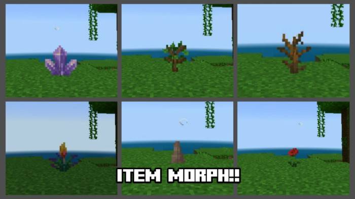 Item Morph Addon - Screenshots - Minecraft Bedrock Addons - CurseForge
