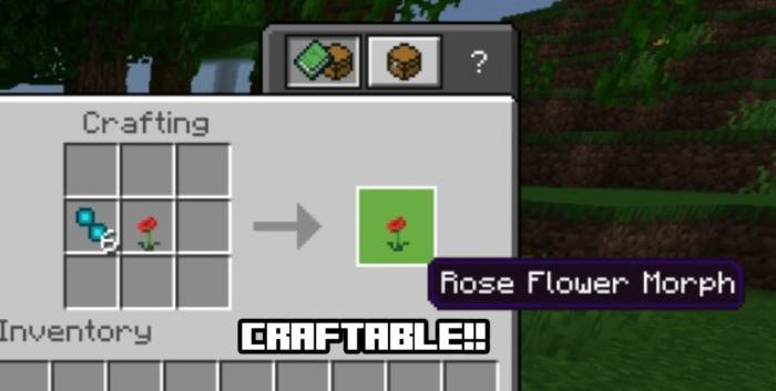 Item Morph Addon - Screenshots - Minecraft Bedrock Addons - CurseForge