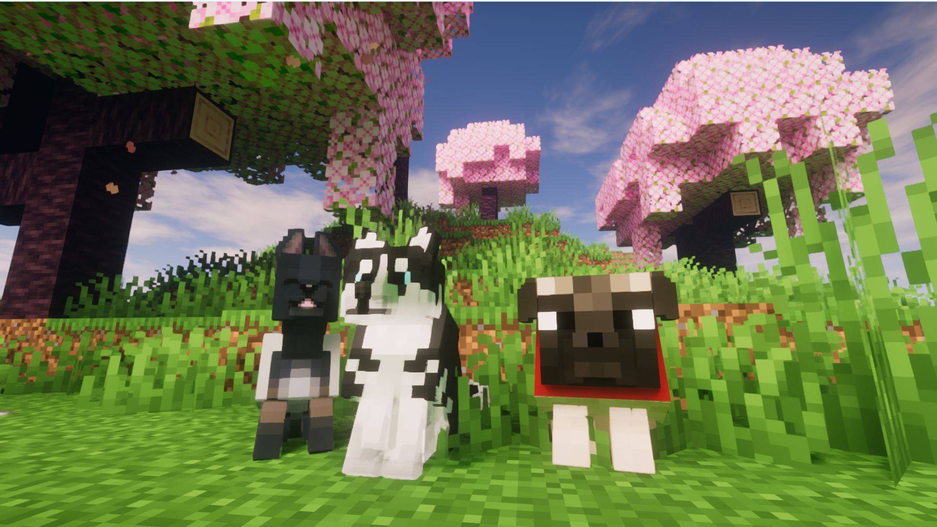 Aesthetic Master I (AMI) - Minecraft Modpacks - CurseForge