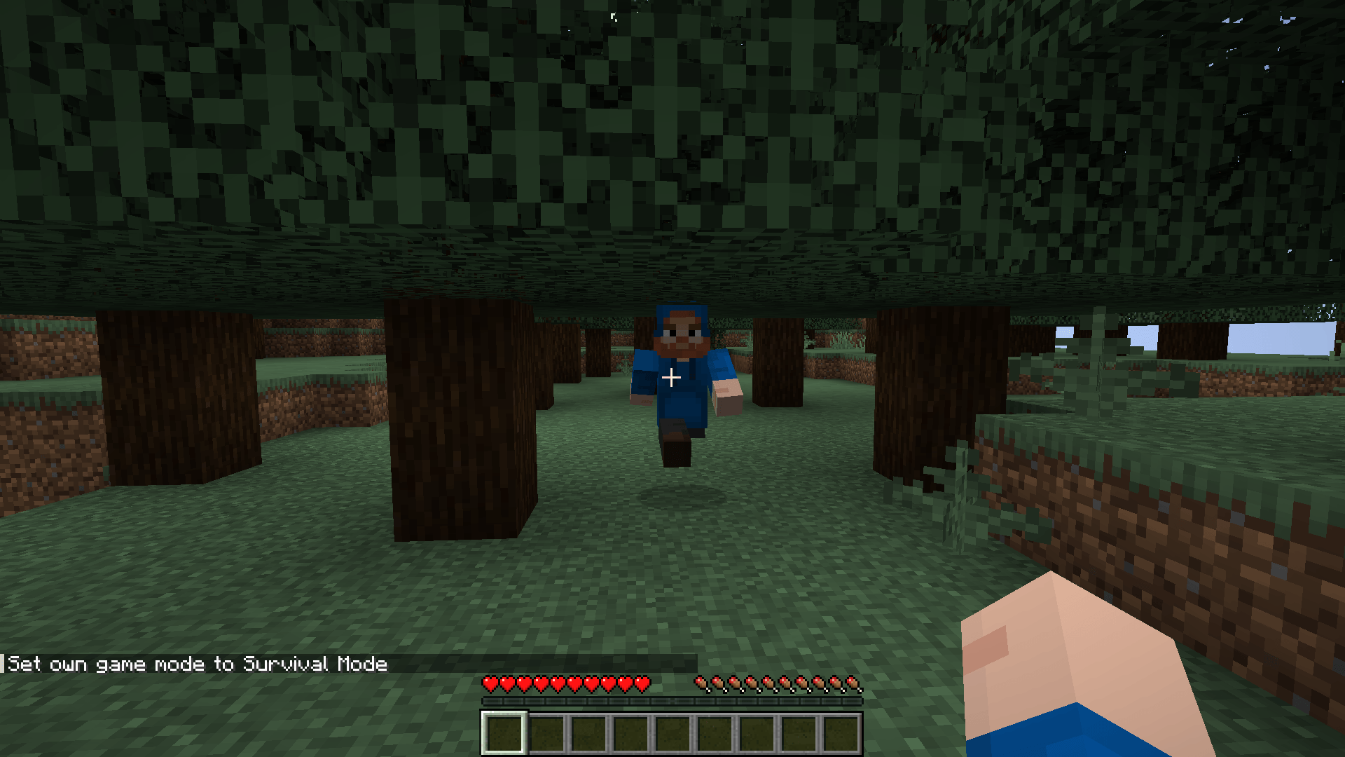 Caseoh's Paradise - Gallery - Minecraft Mods - CurseForge