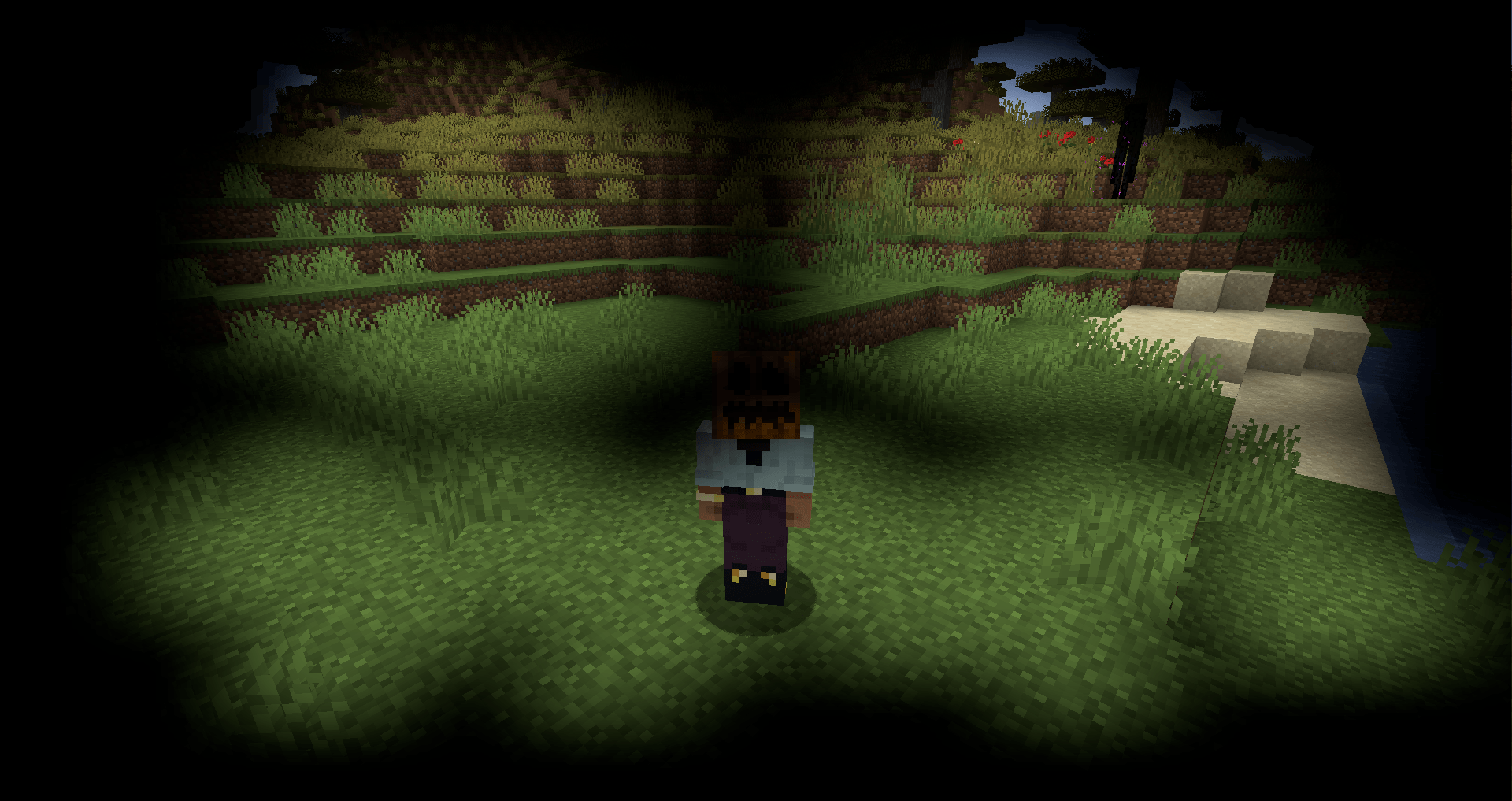 No More Pumpkin Overlay - Minecraft Mods - CurseForge