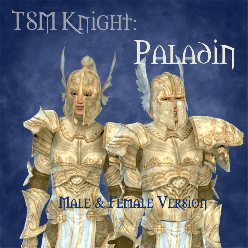 TSM Knight Armor: Paladin - Gallery - The Sims 4 Create a Sim - CurseForge
