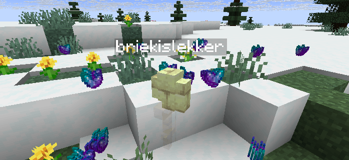 Hardcore Graves - Minecraft Bukkit Plugins - CurseForge