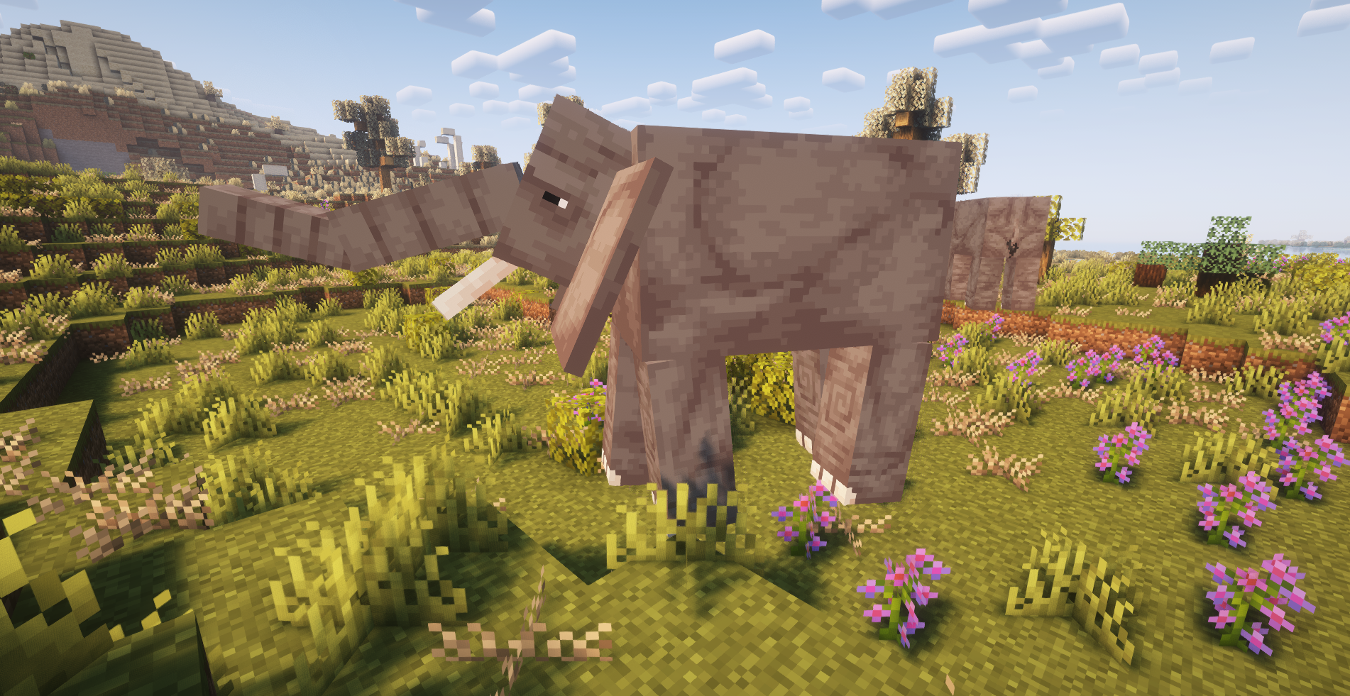 ˚ʚ♡ɞ˚ Cozycraft - Farming and Animals ˚ʚ♡ɞ˚ - Gallery - Minecraft ...