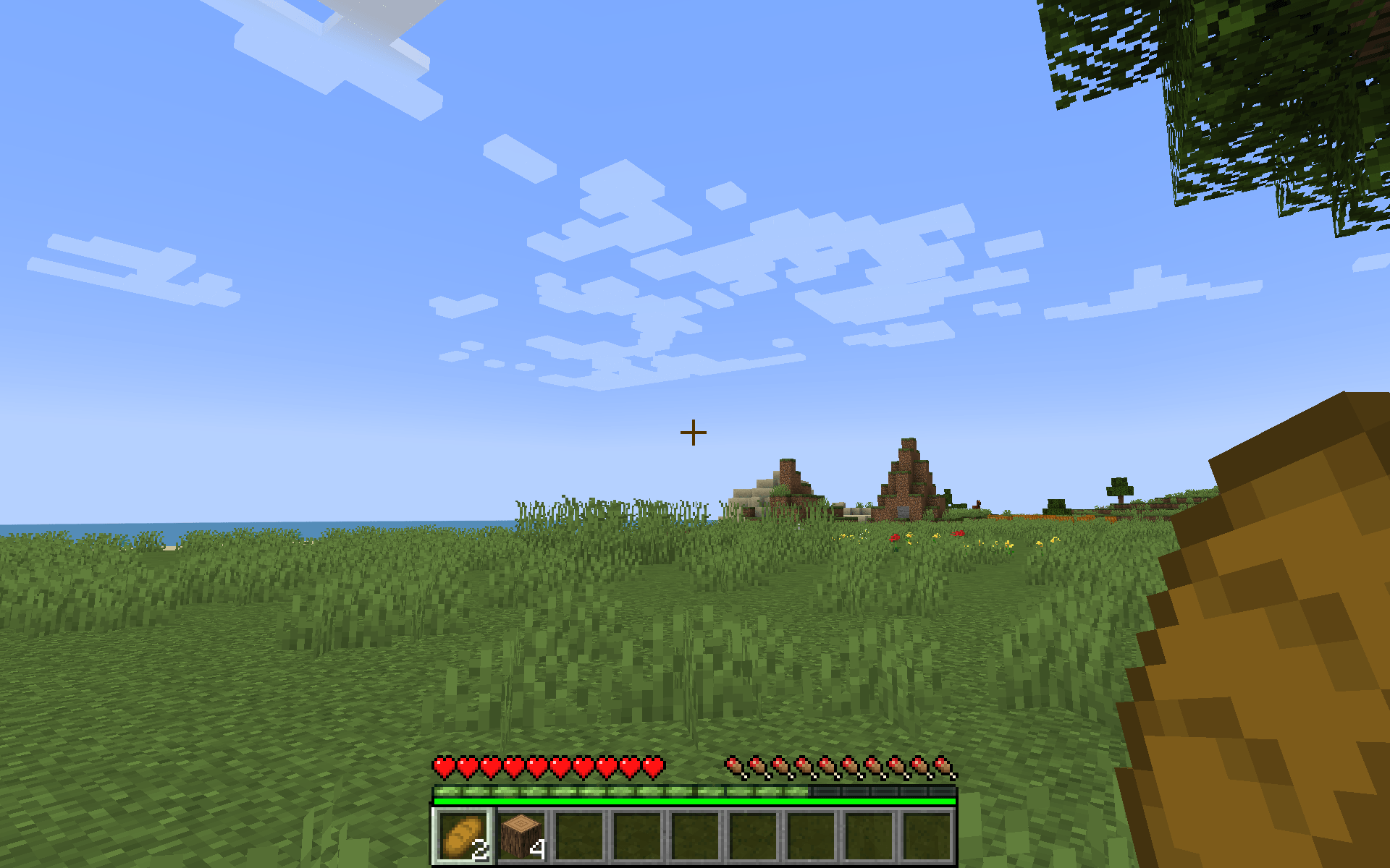 Stamina For Tweakers - Minecraft Mods - CurseForge