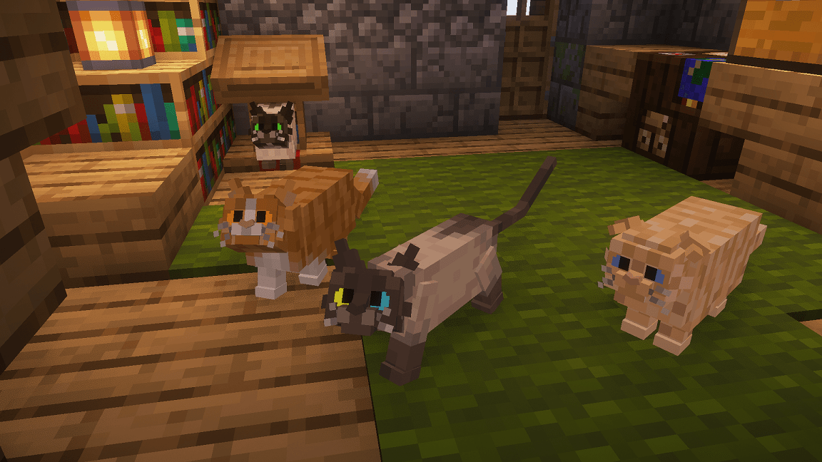 Better Cats! - Gallery - Minecraft Resource Packs - CurseForge