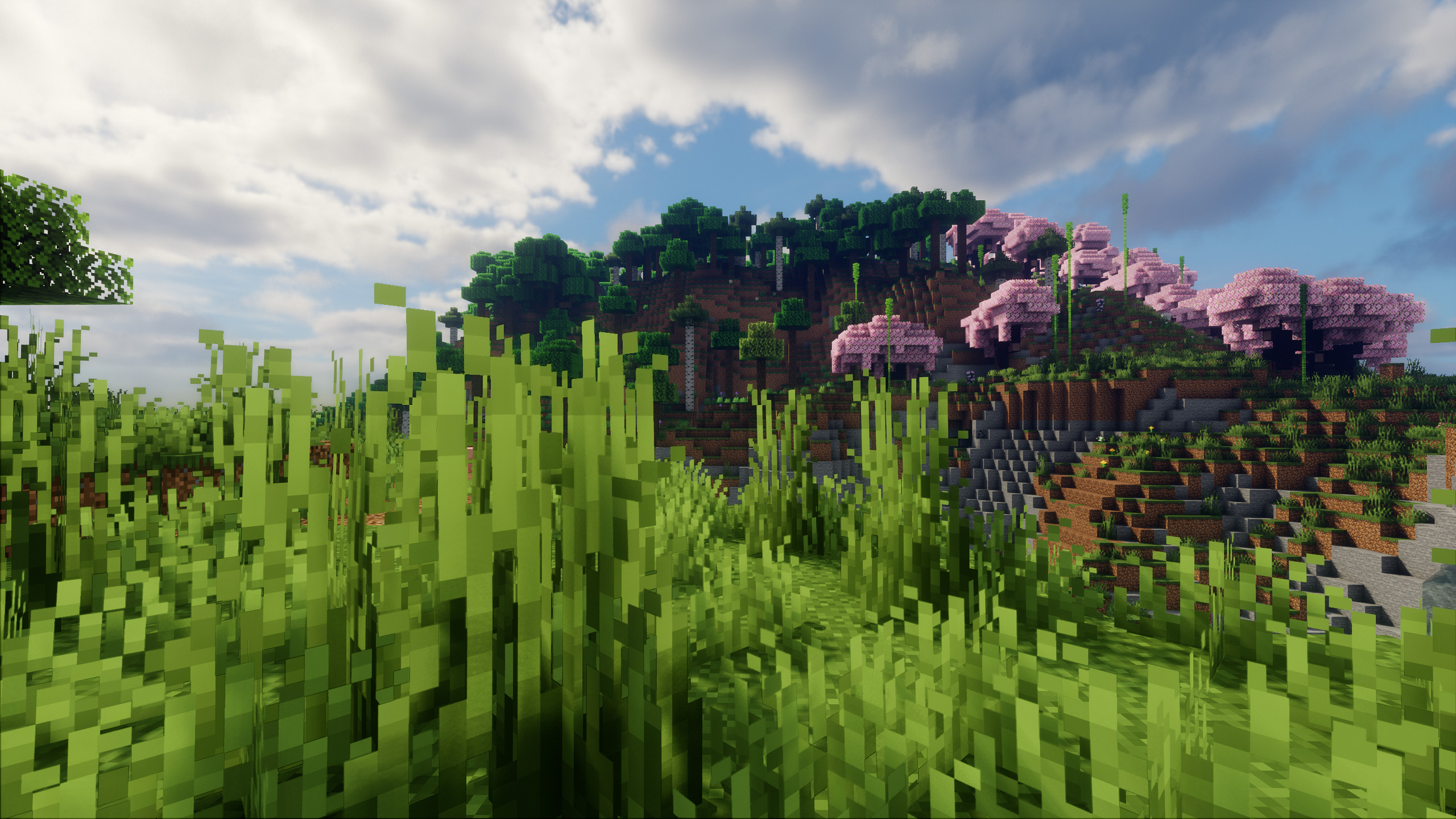 Minecraft 2560x1440 Pixels