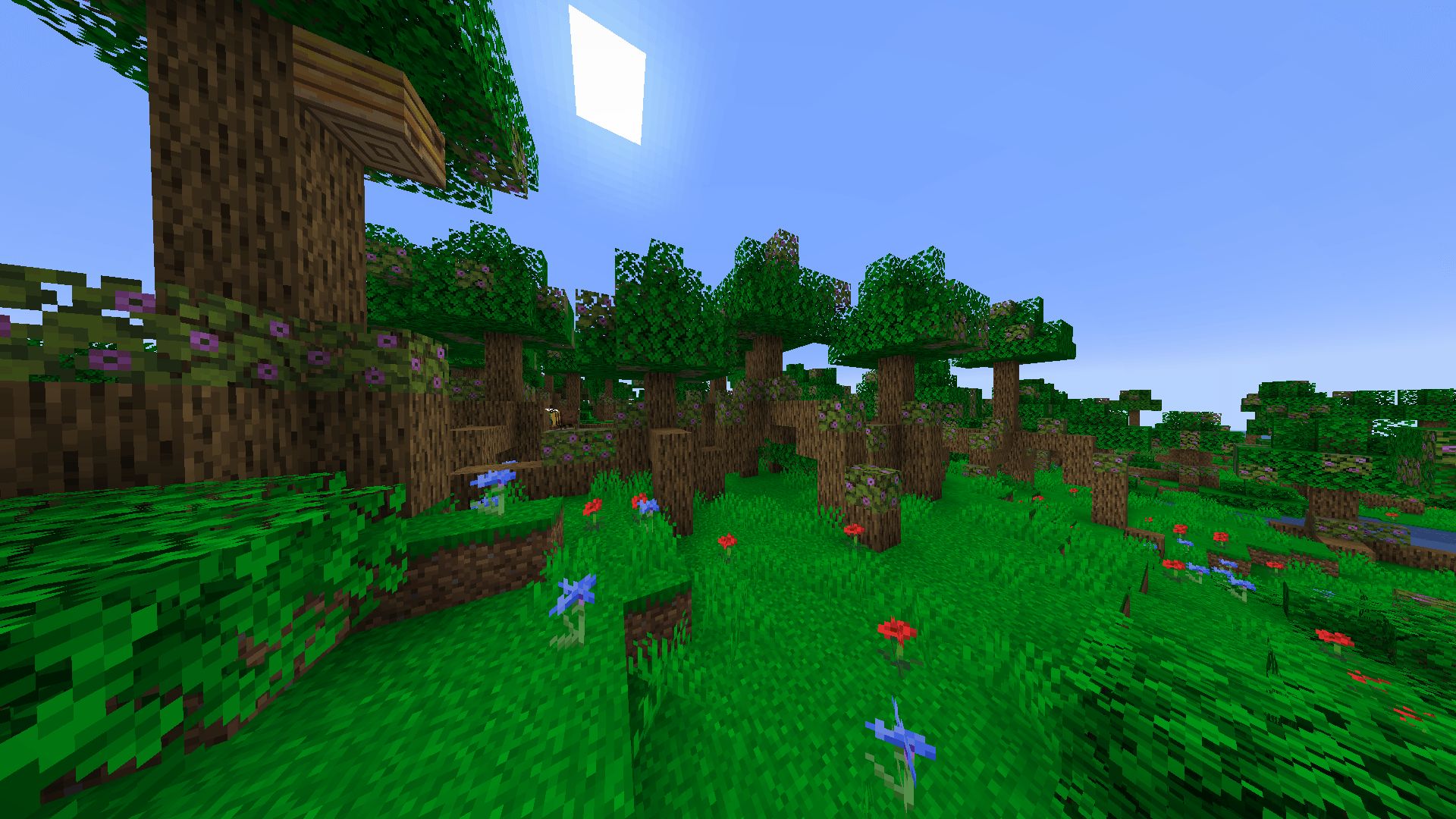 More Forests - Gallery - Minecraft Mods - CurseForge