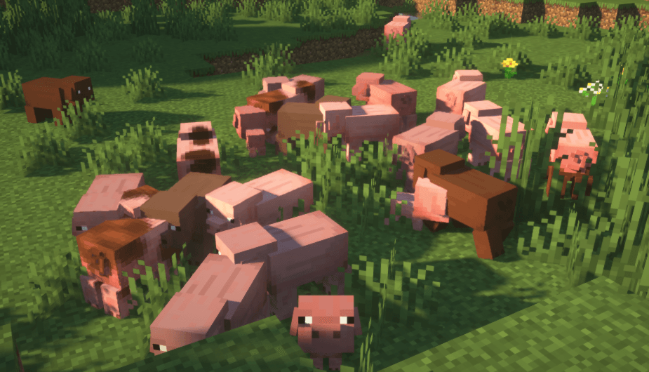 Better Pig - Minecraft Resource Packs - CurseForge