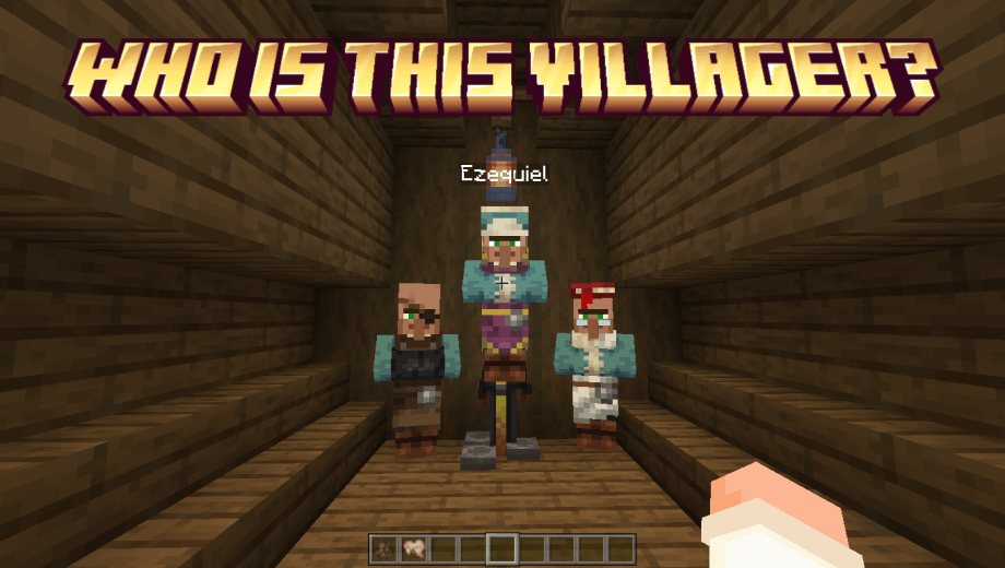 Who's that villager? - Gallery - Minecraft Bedrock Scripts - CurseForge