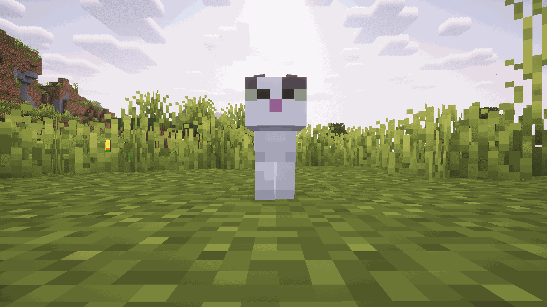Whiskers - Gallery - Minecraft Resource Packs - CurseForge
