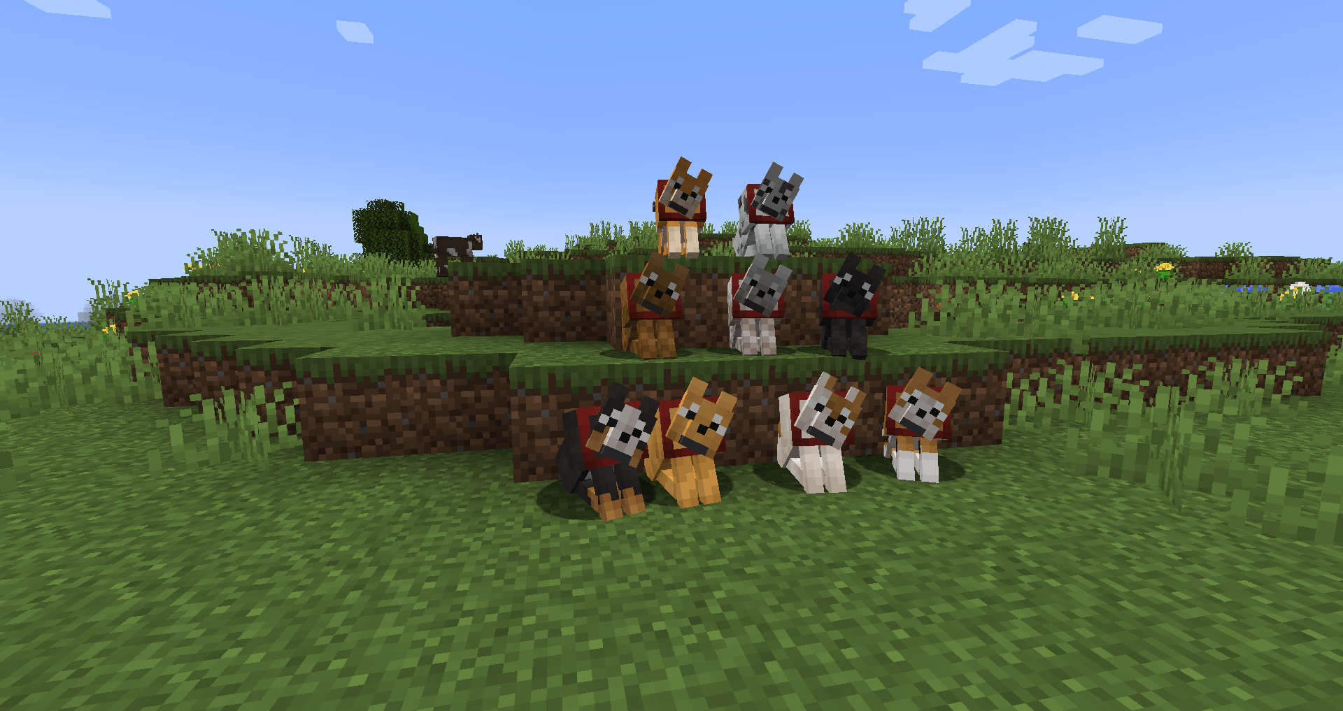 More Wolfs - Minecraft Mods - CurseForge