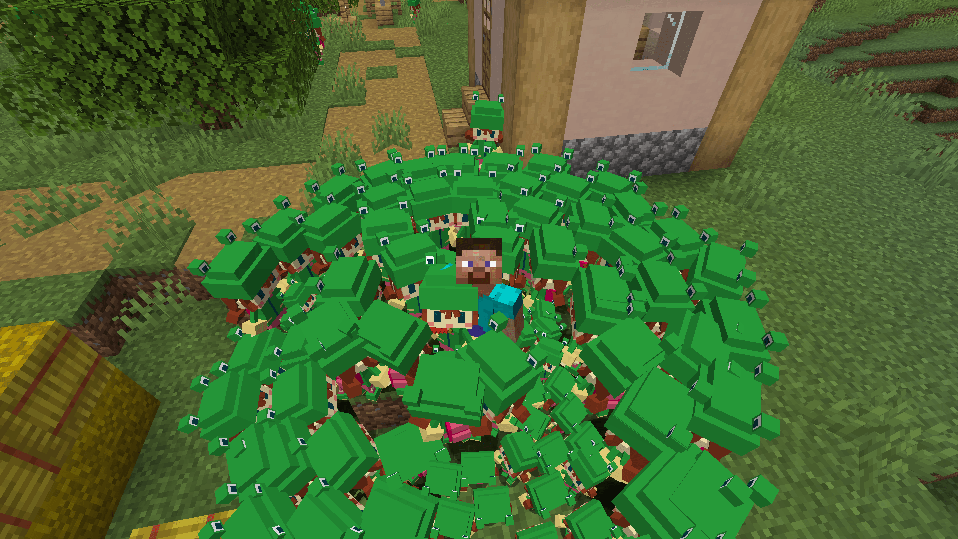 Rana - Minecraft Mods - CurseForge