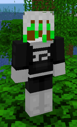 Phantom Accessories - Gallery - Minecraft Mods - CurseForge