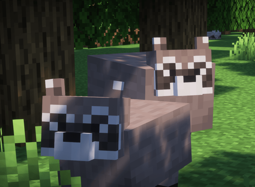 Raccoon - Gallery - Minecraft Mods - CurseForge