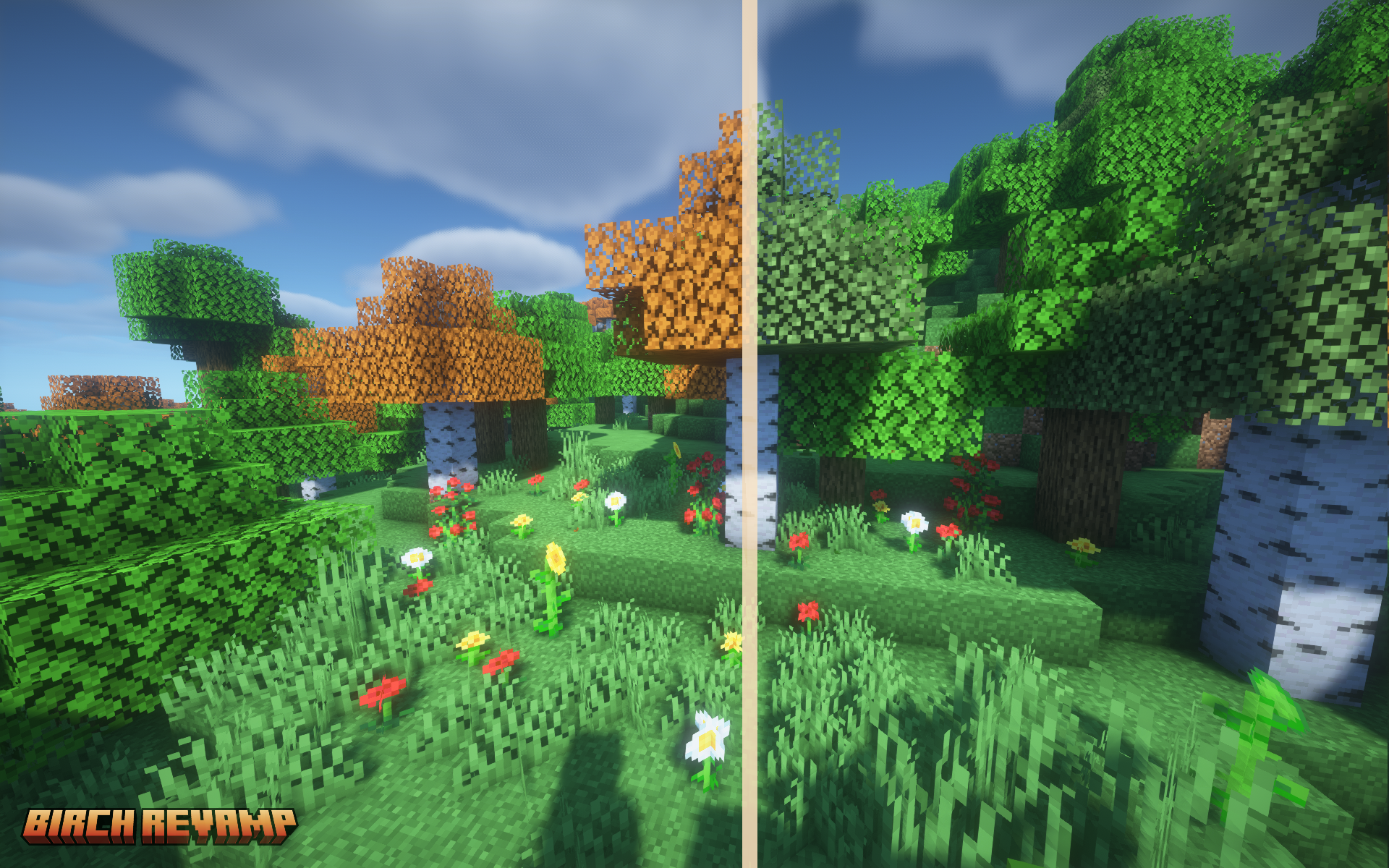 Birch Revamp - Minecraft Resource Packs - CurseForge