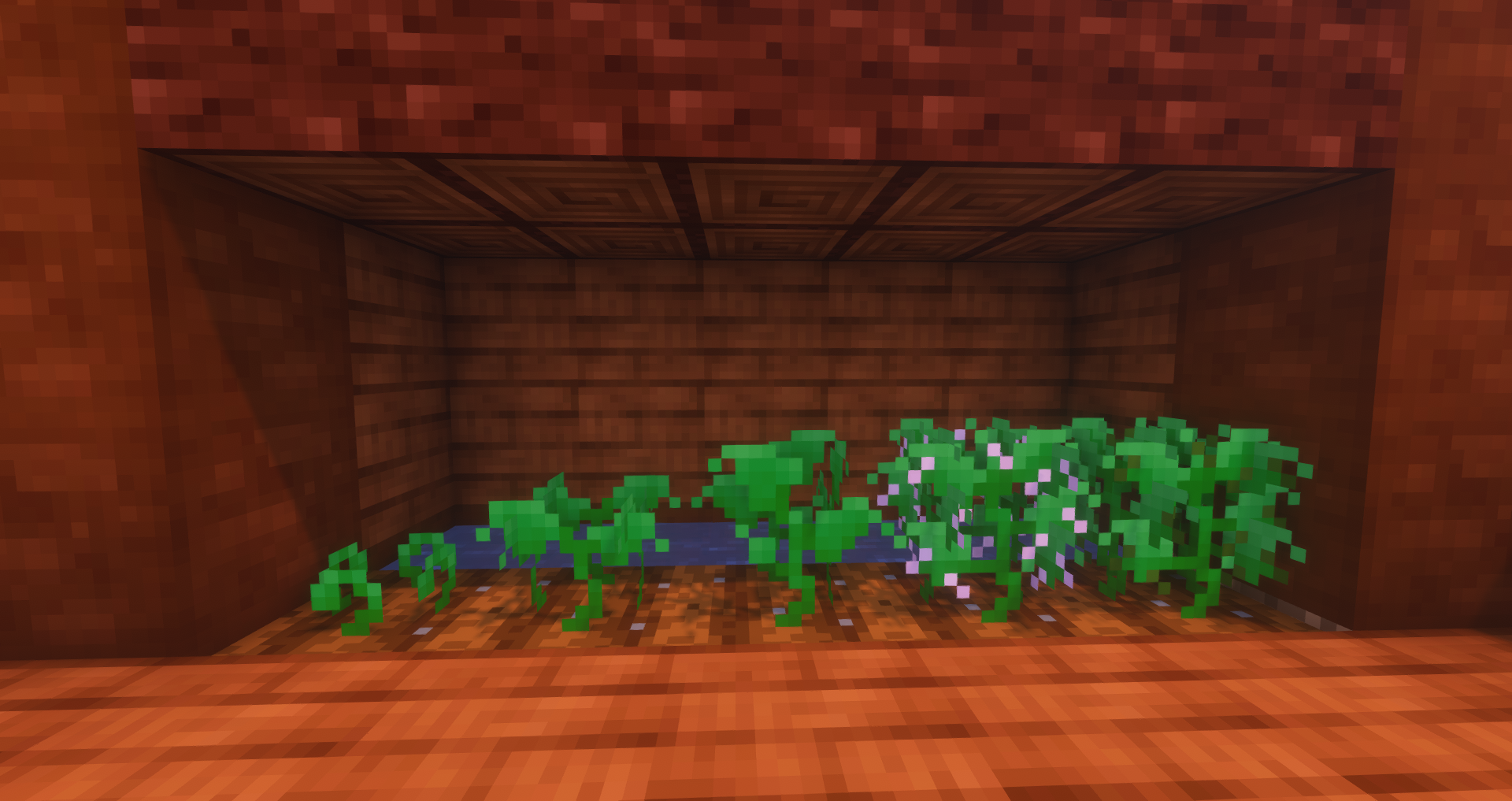 Chaos Eclipse - Gallery - Minecraft Mods - CurseForge