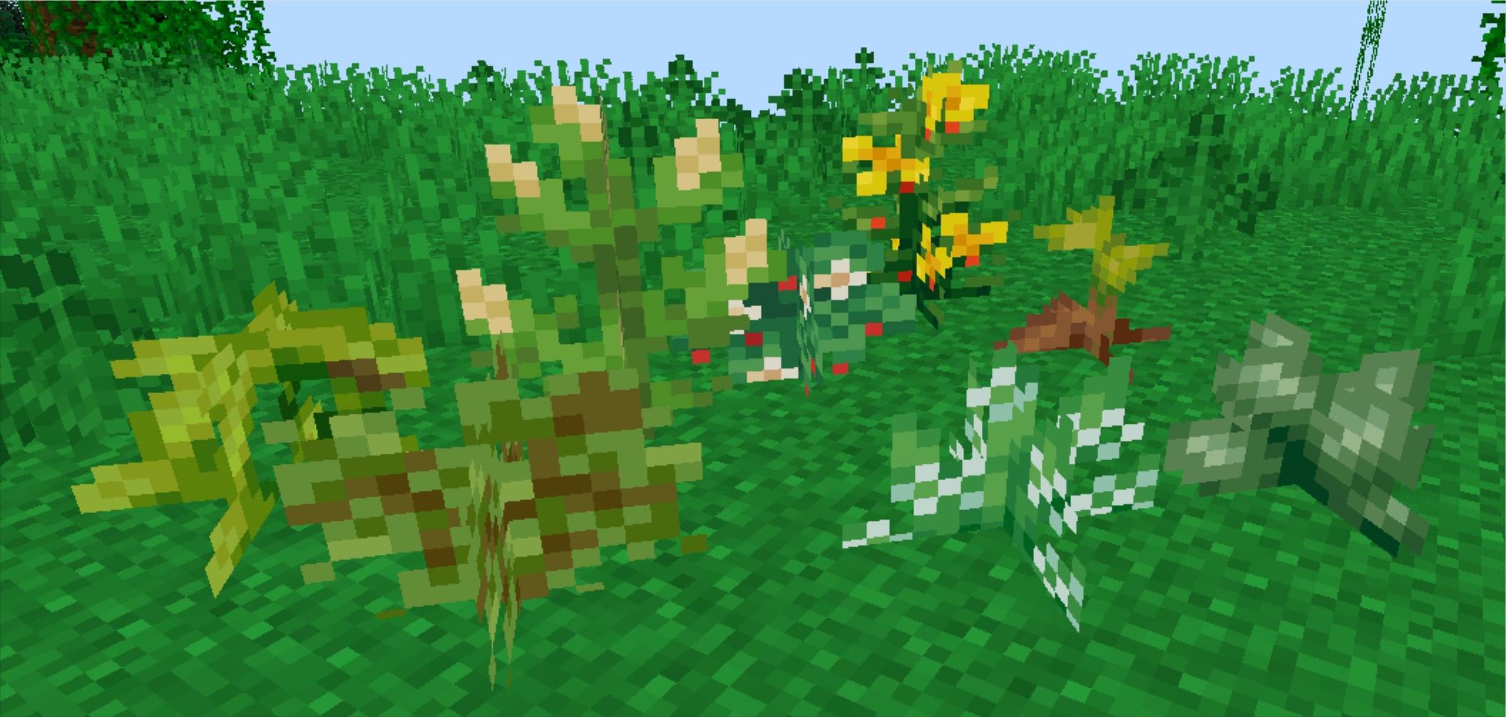 Brazilian Delight - Gallery - Minecraft Mods - CurseForge