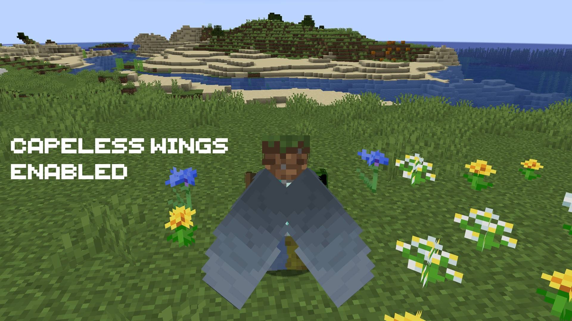 Capeless Wings - Minecraft Resource Packs - CurseForge