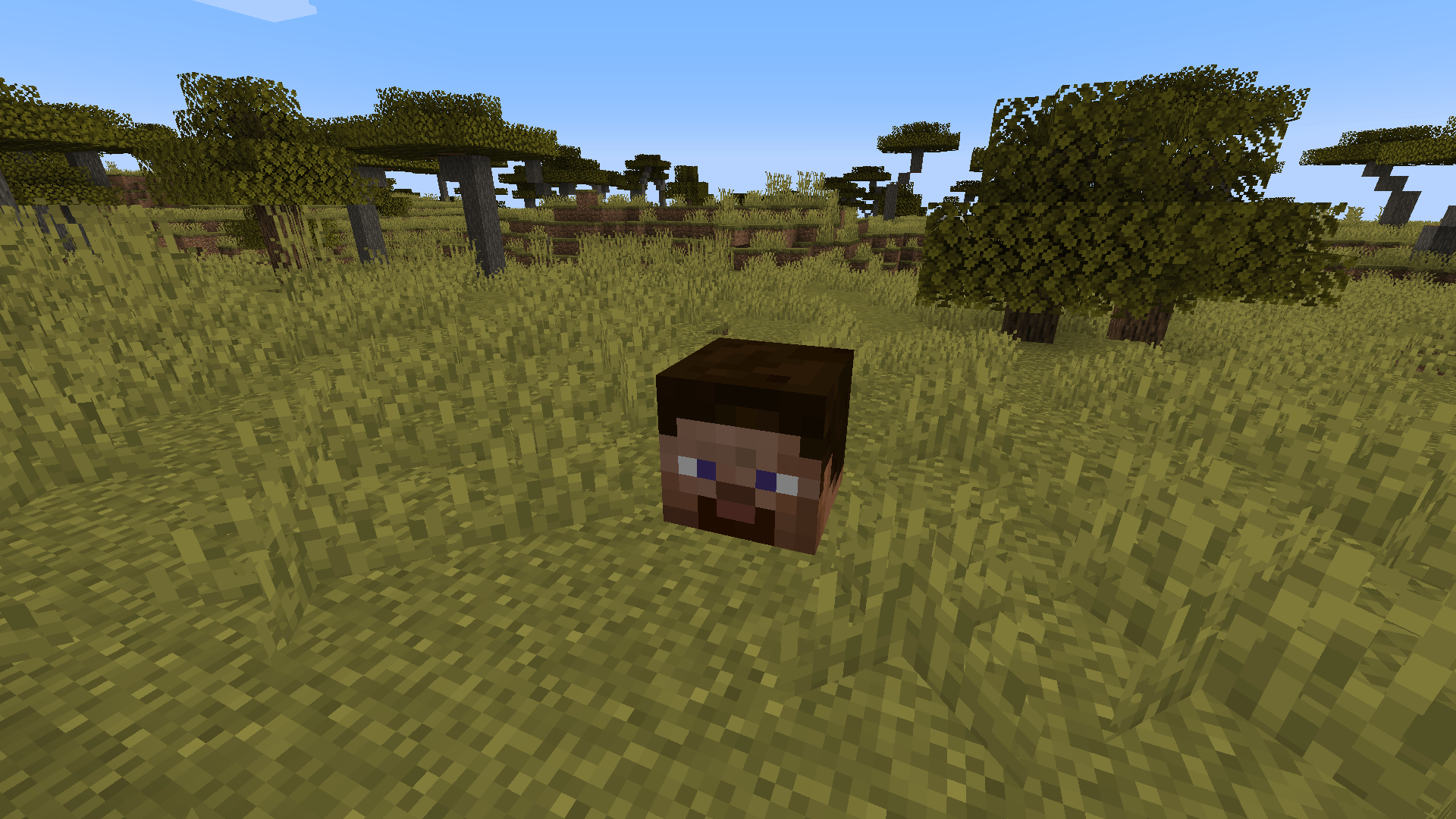 The Legend of Steve - The Ultimate Steve Overload! - Gallery ...