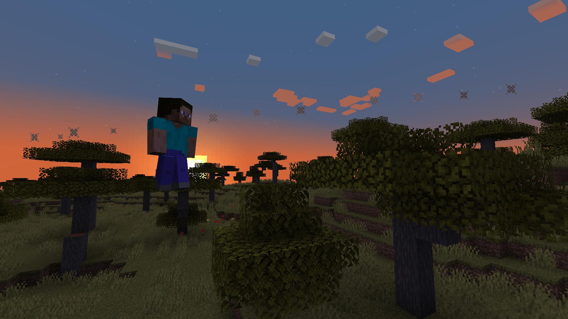 The Legend of Steve - The Ultimate Steve Overload! - Gallery ...