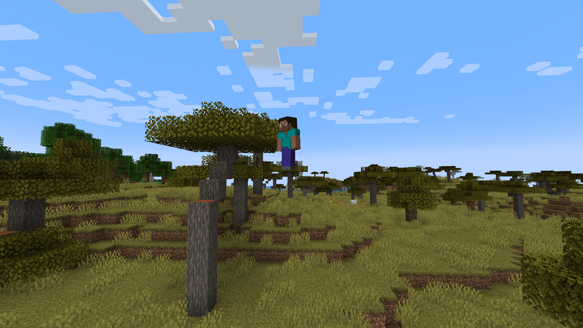 The Legend of Steve - The Ultimate Steve Overload! - Gallery ...