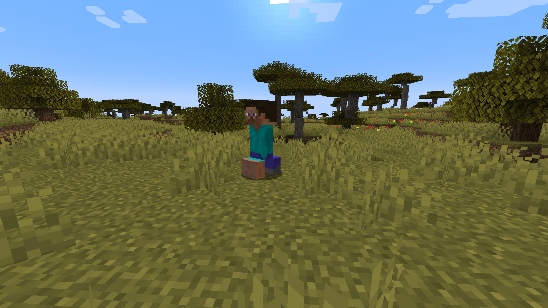 The Legend of Steve - The Ultimate Steve Overload! - Gallery - Minecraft Mods - CurseForge