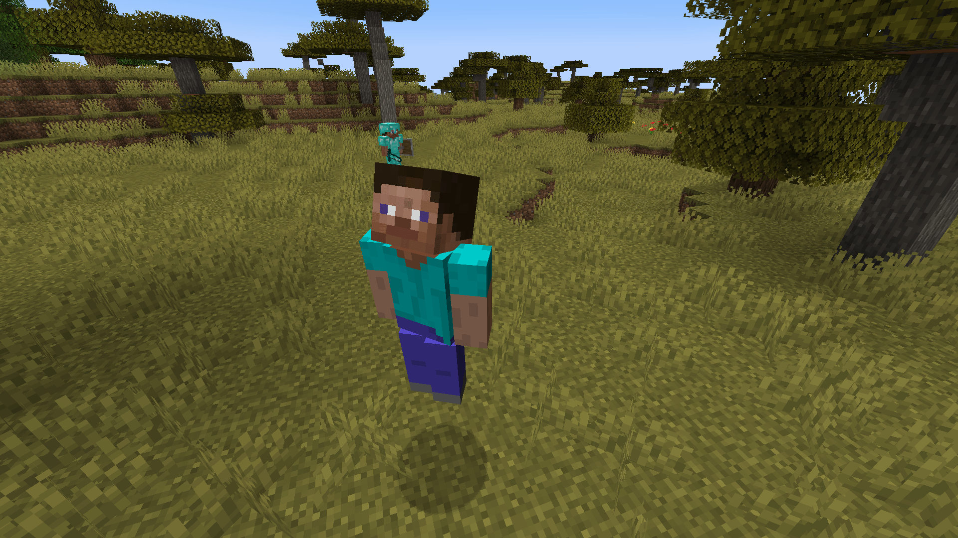 The Legend of Steve - The Ultimate Steve Overload! - Gallery ...