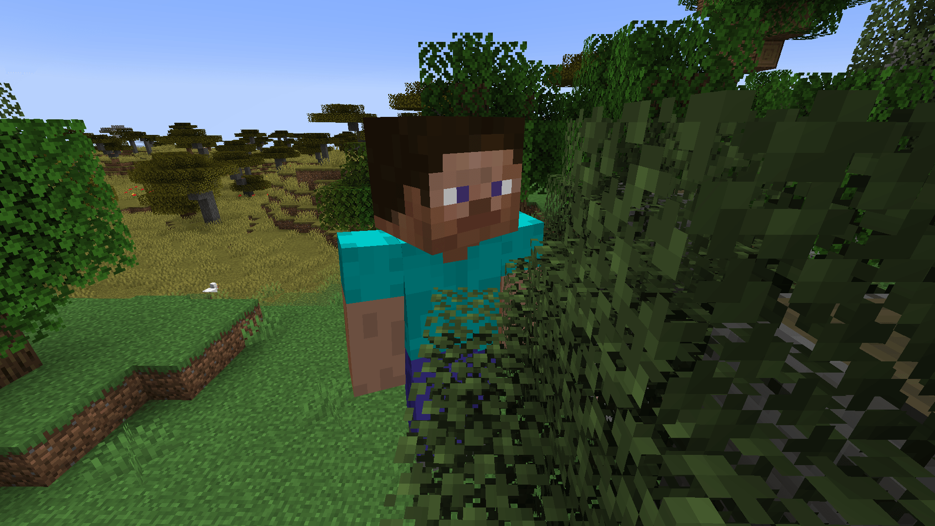 The Legend of Steve - The Ultimate Steve Overload! - Gallery - Minecraft Mods - CurseForge