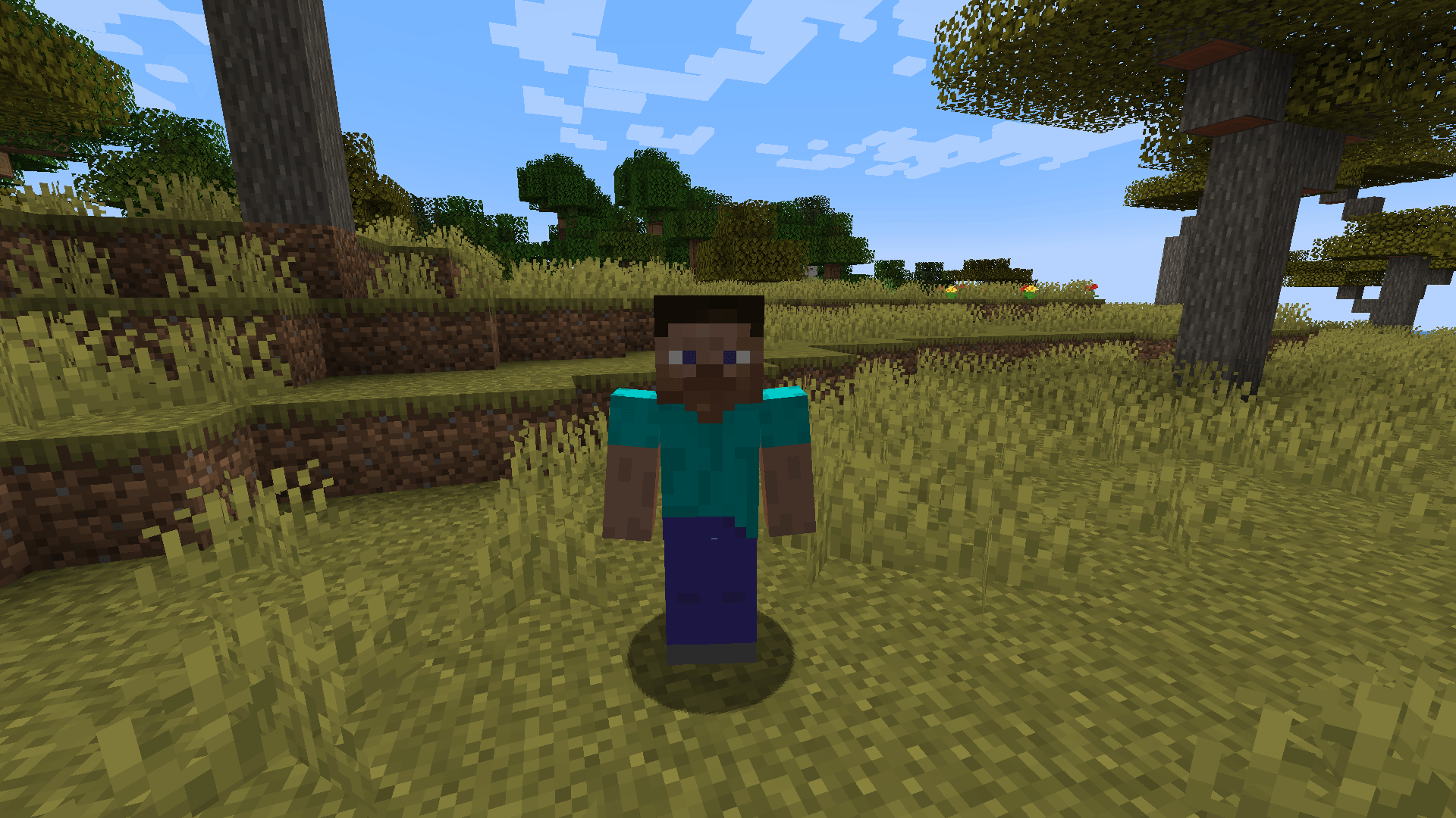 The Legend of Steve - The Ultimate Steve Overload! - Gallery ...