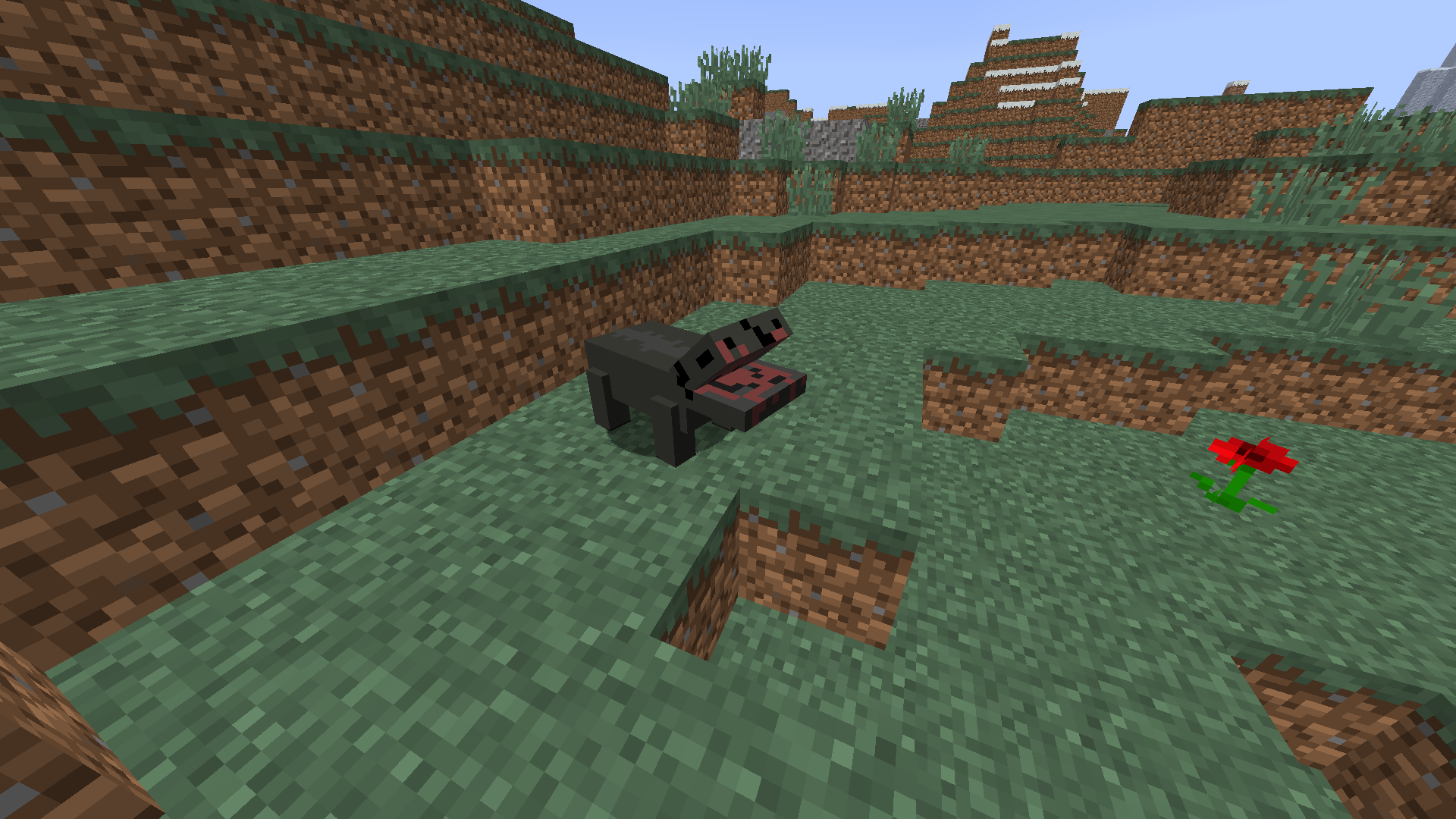 Bog Infection[DISCONTINUED] - Gallery - Minecraft Mods - CurseForge