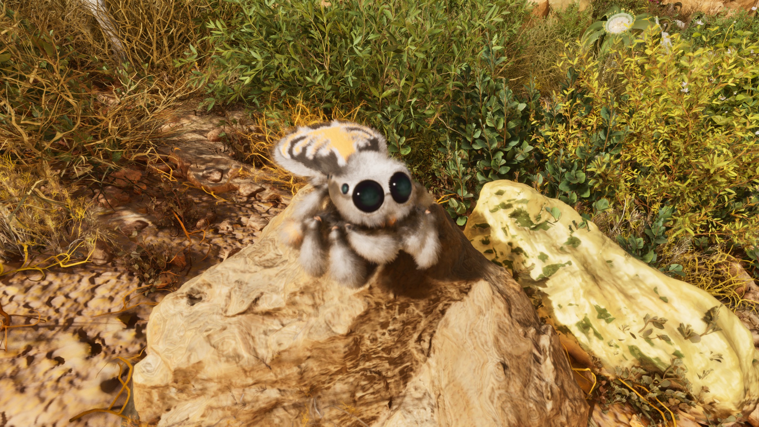 Creature Spawns (Cosmo) - Screenshots - Ark Survival Ascended Mods ...